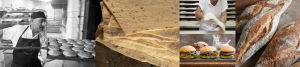 layout - Turkish Bakeries
